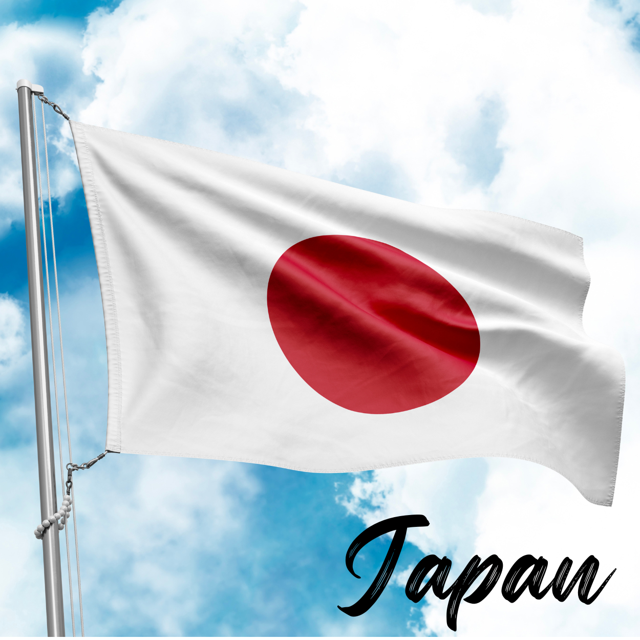 JAPAN VISA ASSISTANCE – Timothy Travel and Tour